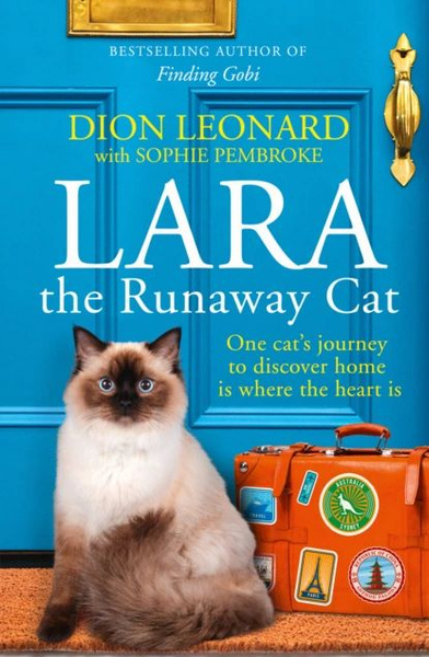 Lara The Runaway Cat: One cats journey to discover home is where the ...