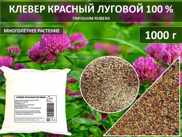 Газонные травы, Многолетние декоративные травы Гагарин Агро Клевер ...
