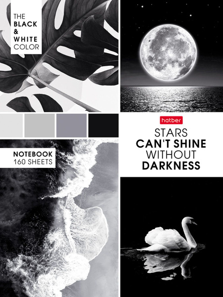 Тетрадь со сменным блоком Hatber 160 листов, формата А5+, в клетку, на четырех кольцах, матовая ...