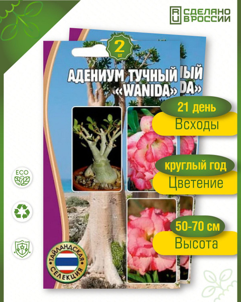 Адениум Редкие семена Wanida - купить по выгодным ценам в интернет ...