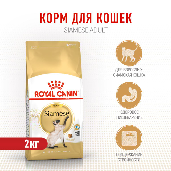 Royal Canin Siamese сухой корм для взрослых сиамских кошек - 2 кг ...