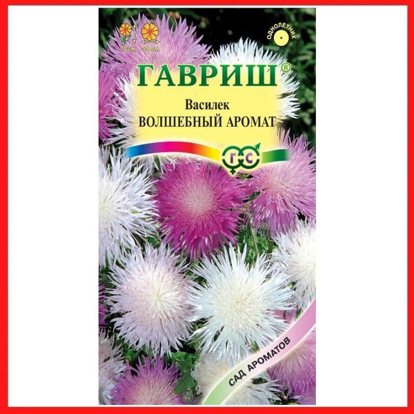 Васильки однолетние Гавриш Василек посевной "Белая корона"_белый ...