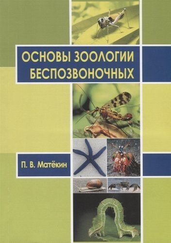 Основы зоологии беспозвоночных. Учебное пособие - купить с доставкой по ...