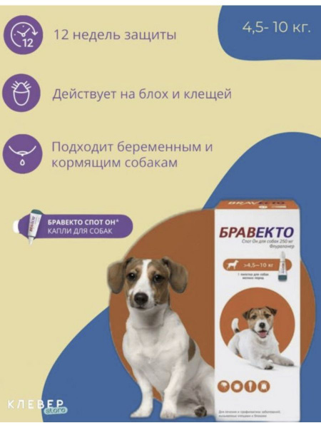 Бравекто Spot-On капли на холку для собак 4,5-10 кг, 1 пипетка - купить ...