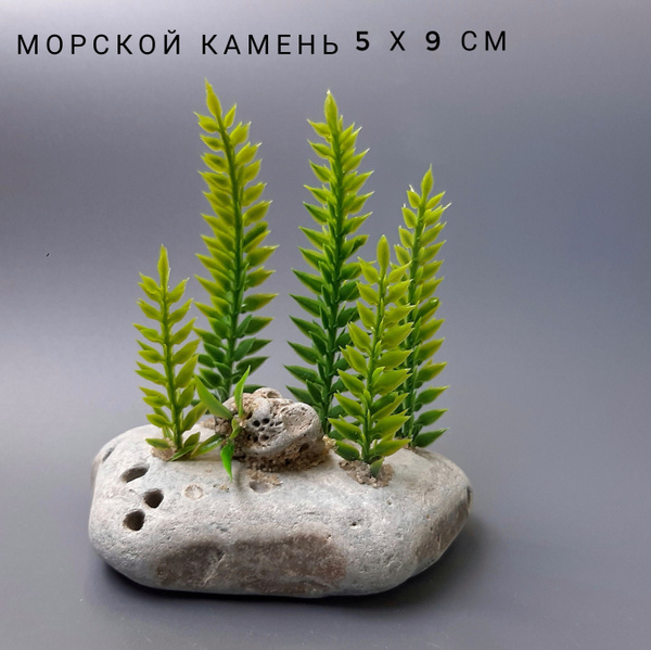 Декор для террариума змей и ящериц. - купить с доставкой по выгодным ...