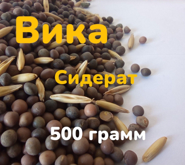 вики - купить по выгодным ценам в интернет-магазине OZON (1179185837)