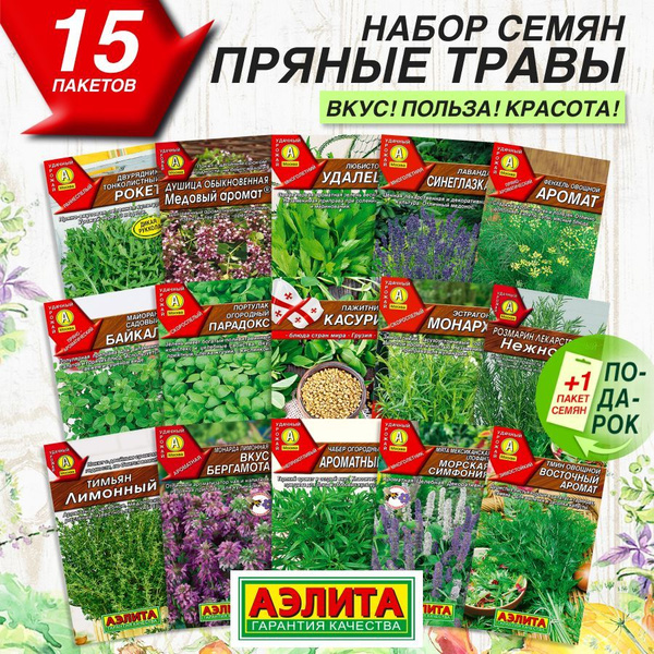 Пряные травы Агрофирма Аэлита Зелень и травы - купить по выгодным ценам ...