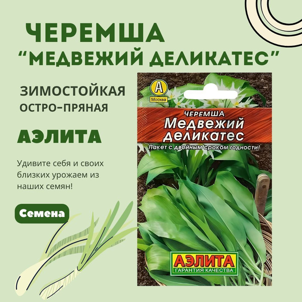 Черемша Аэлита Черемша - купить по выгодным ценам в интернет-магазине ...