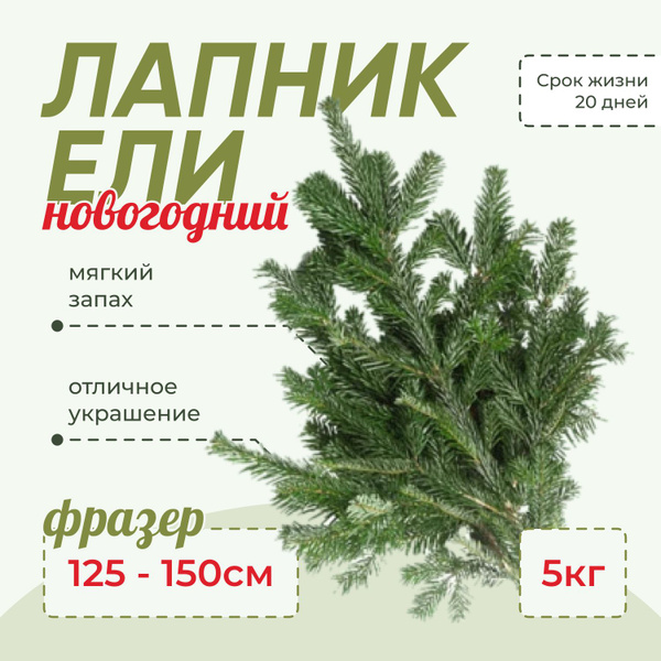 Лапник Elki home, 100-125 см - купить с доставкой по выгодным ценам в интернет-магазине OZON ...