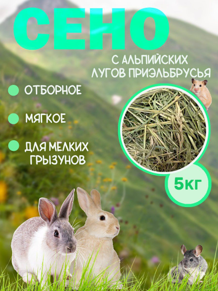 Сено для грызунов и кроликов 5000 гр - купить с доставкой по выгодным ...