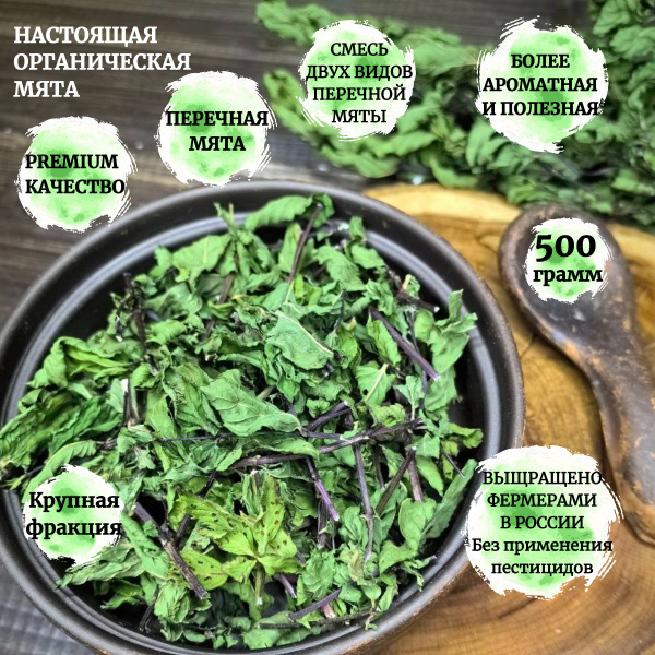 Мята перечная сушеная 500 грамм / Смесь двух сортов / Добавка в чай и ...