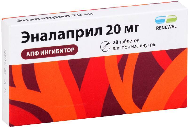 Эналаприл, таблетки 20 мг, 28 штук — купить в интернет-аптеке OZON ...
