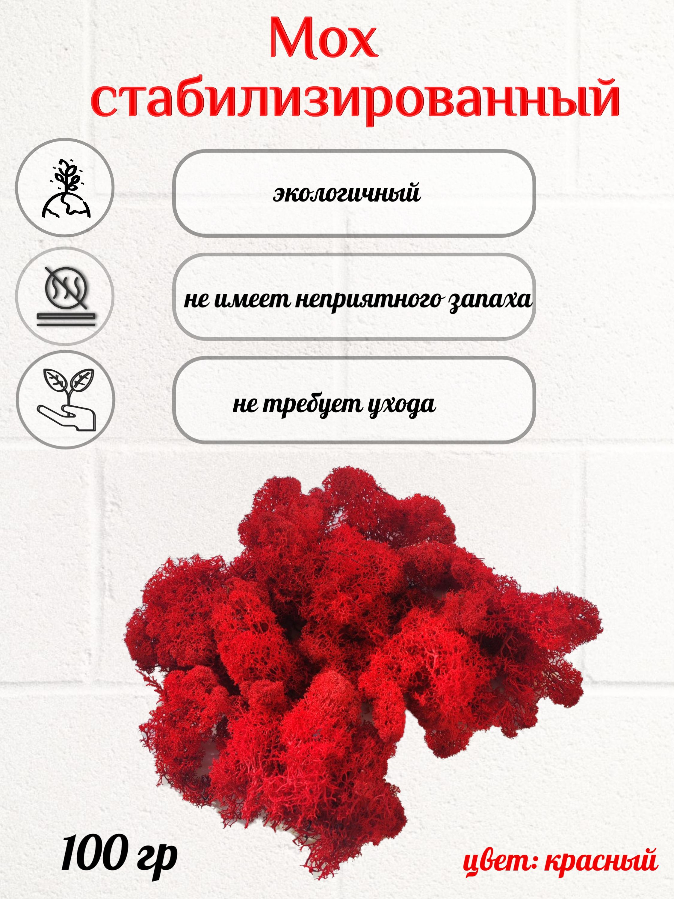 Мох Красный – купить в интернет-магазине OZON по низкой цене