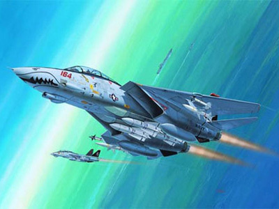 "Revell" 04049 Модель сборная Истребитель F-14D Super Tomcat 1/144 ...