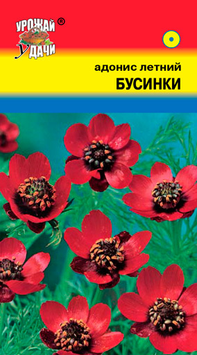 Адонис Урожай удачи Адонис Yom Shop One - купить по выгодным ценам в ...