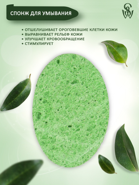 Спонж для умывания овальный SHINEWELL купить на OZON по низкой цене ...