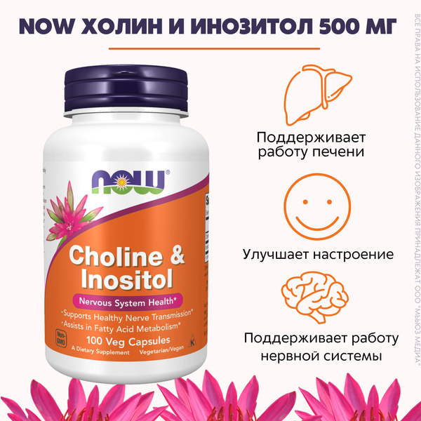 NOW Холин и Инозитол 500 мг (CHOLINE & INOSITOL 250/250mg 100 CAPS) - купить с доставкой по ...
