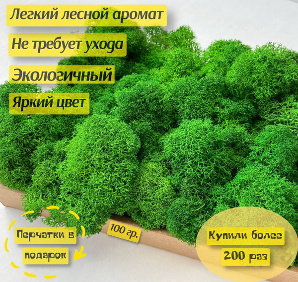 Стабилизированный мох Воздушное настроение Мох, 100 гр, 1 шт купить по ...