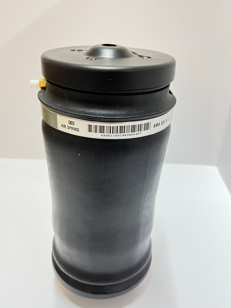 Пневмобаллон задний BGOE BG166-0325 / A1663200325 - купить по доступным ...