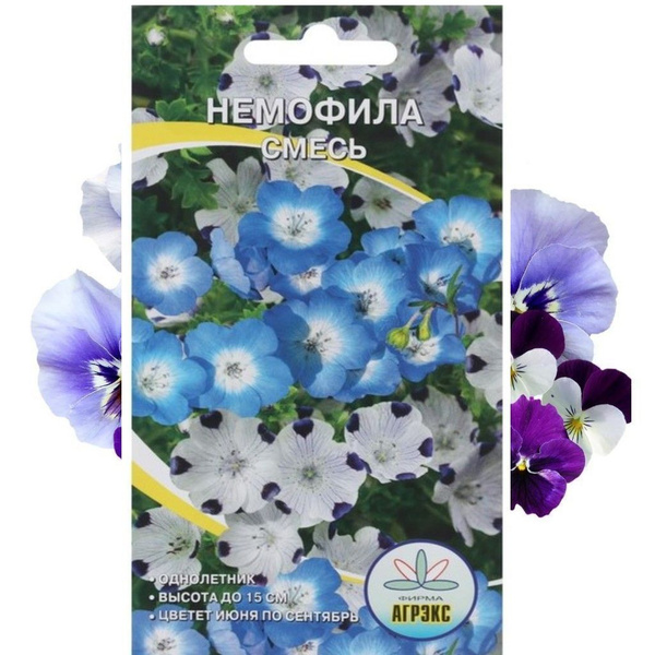 Полевые цветы_Немофила смесь - купить по выгодным ценам в интернет ...