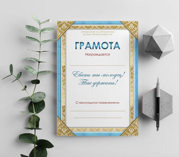 Шуточная грамота "Ты молодец!" купить на OZON по низкой цене в Беларуси ...