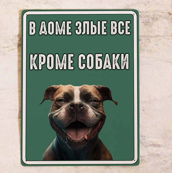 Прикольная табличка на забор В доме все злые, кроме собаки, 20х30 см ...