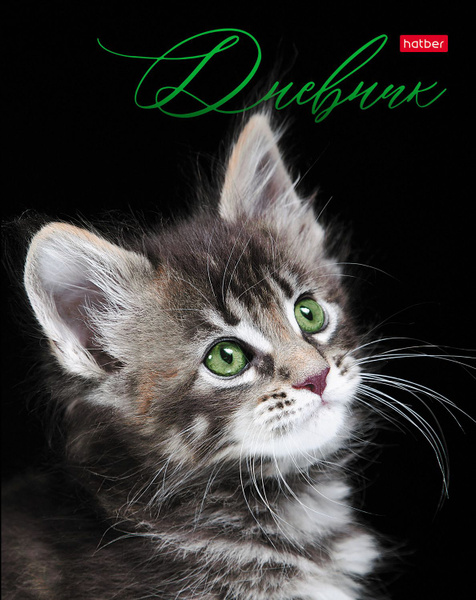 Дневник для 1-11 классов Hatber 40л А5 твердый переплет глянцевая ламинация - купить с доставкой ...