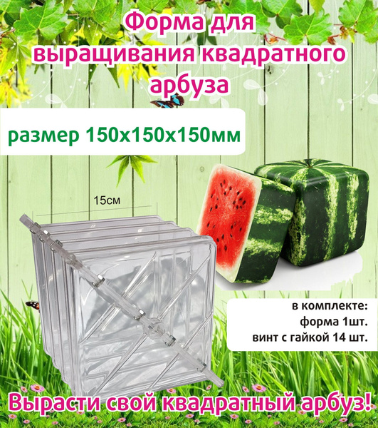 Форма для выращивания фигурных овощей - купить по выгодной цене в ...