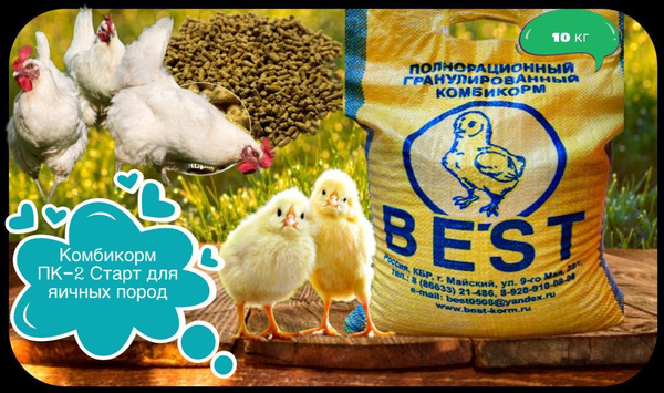 Комбикорм BEST для Курей яичных пород Cтарт от 0-5 недель, 10 КГ ...
