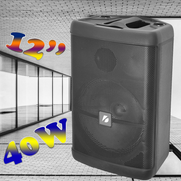 Беспроводная колонка KTS KTS-1280 - купить по доступным ценам в интернет-магазине OZON (982652352)