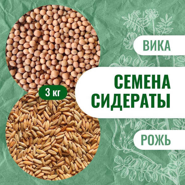 Exotic Tree soivam_Вика - рожь 3 кг. - купить по выгодным ценам в ...