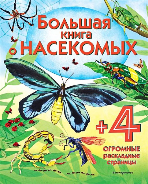 Большая книга о насекомых. Энциклопедия для малышей | Боун Эмили ...