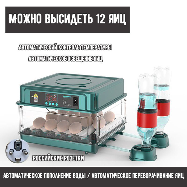 Инкубатор на 12 яиц с автоматическим поворотом яиц для повышенной ...