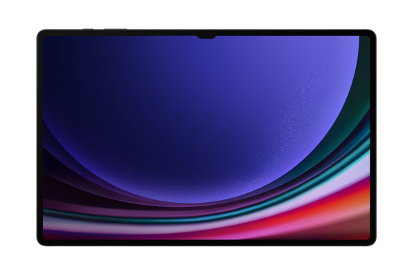 Купить планшет Samsung Tab S9 Ultra (SM-X916) 14.6", 256 GB по низкой ...