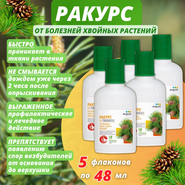 Август / Ракурс - лекарство для борьбы с шютте, ржавчиной на хвойных ...