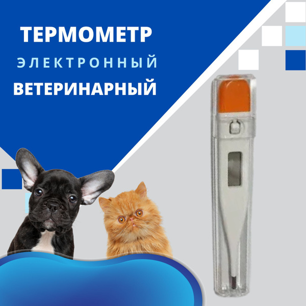 Термометр электронный ветеринарный купить на OZON по низкой цене ...