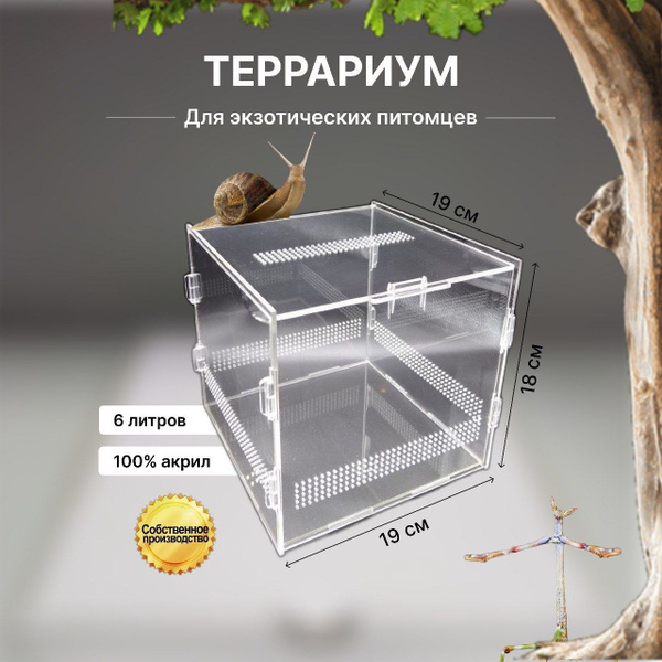 Террариум с крышкой для рептилий, пауков, улиток, богомола, палочников ...