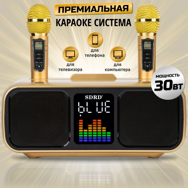Домашняя Беспроводная Караоке система SDRD SD-318 золото с двумя ...