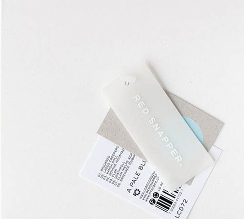 Audio CD RED SNAPPER A Pale Blue Dot - купить по низким ценам в ...