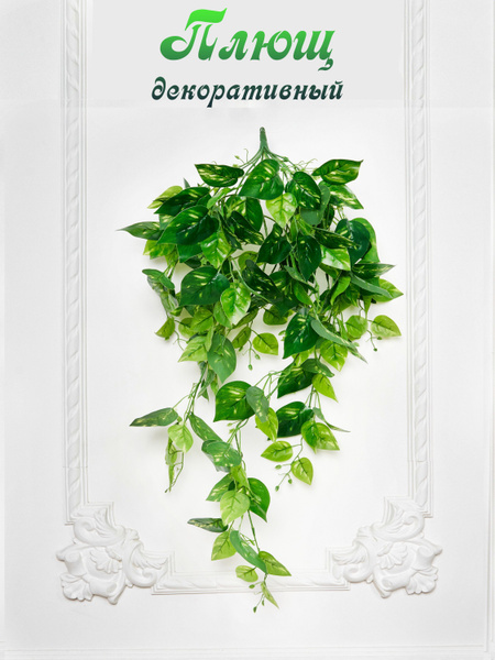 Купить Лиана для декора свисающая зелень плющ по выгодной цене в интернет магазине