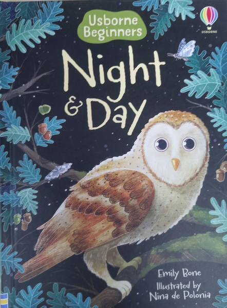 Usborne Beginners. Night & Day. Emily Bone - купить с доставкой по ...