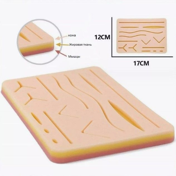 Тренажер для сшивания ран - купить с доставкой по выгодным ценам в ...