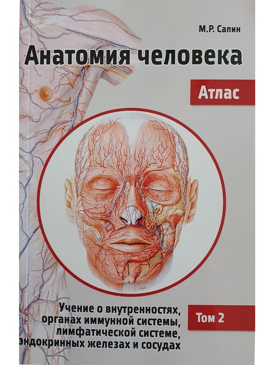Анатомия Человека Атлас Сапин – купить в интернет-магазине OZON по ...