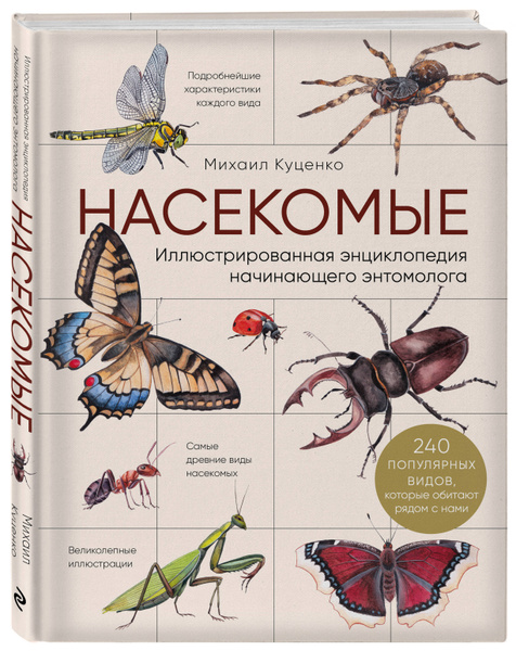Насекомые. Иллюстрированная энциклопедия начинающего энтомолога. 240 ...