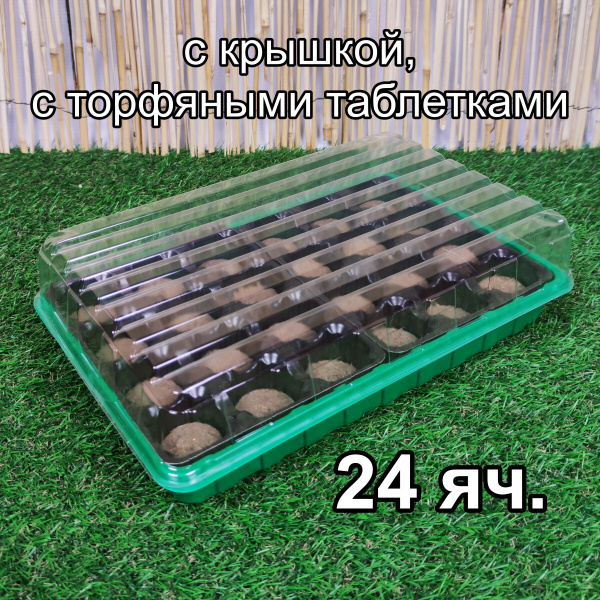 Минипарник (мини-тепличка) набор для рассады с 24 торфяными таблетками ...