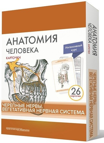 Анатомия человека: Черепные нервы. Вегетативная нервная система ...