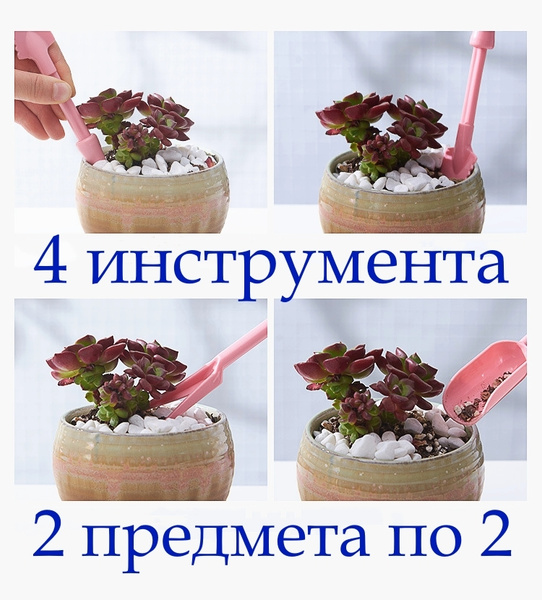 Набор инструментов для суккулентов, уход за комнатными растениями, 4 ...