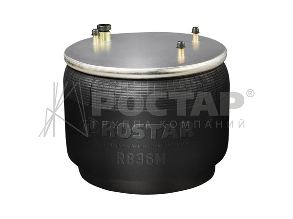 Пневморессора со стаканом DAF 65-105CF/XF (РОСТАР) - купить по ...