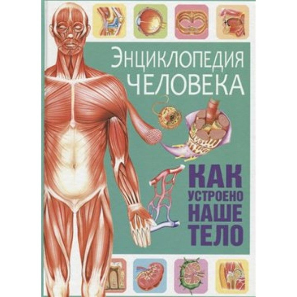 Энциклопедия. Энциклопедия человека. Как устроено наше тело. - купить с ...