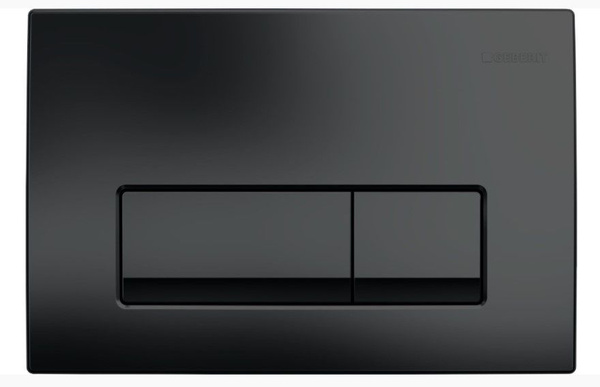 Клавиша смыва Geberit Delta 50 (черный) 115.119.DW.1 - купить ...